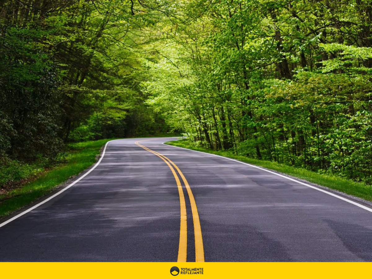 SIGNIFICADO Y USO DE LOS COLORES DE LAS LÍNEAS EN CARRETERAS DE MÉXICO ...