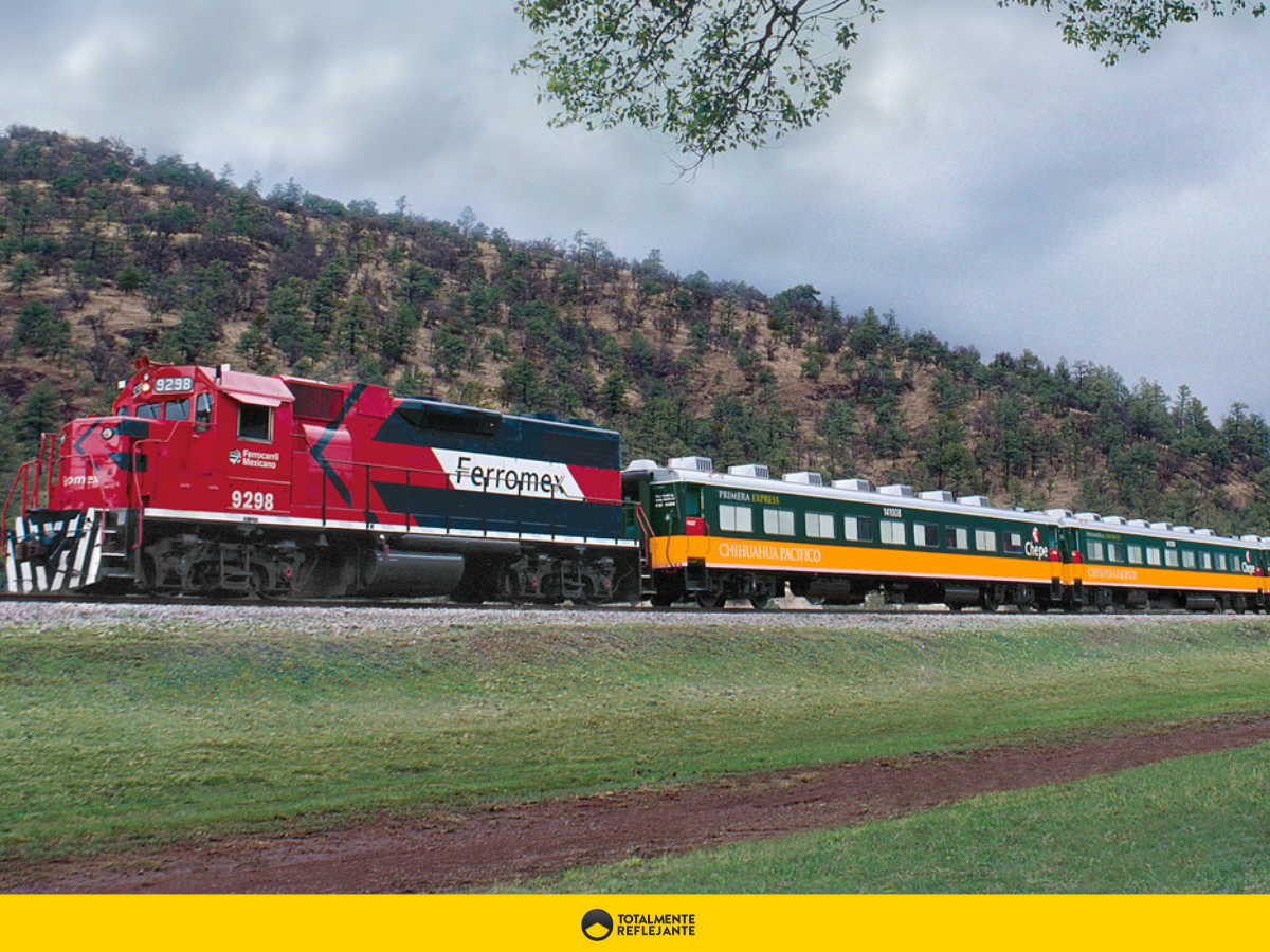 ¿Qué Debes Saber Sobre la Señalización en Cruces de Tren? - Totalmente ...